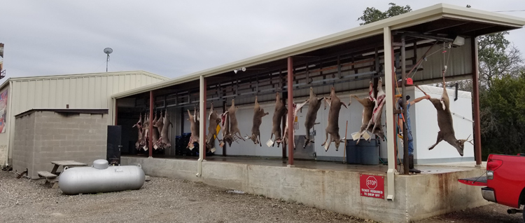 Hunters Creek Processing